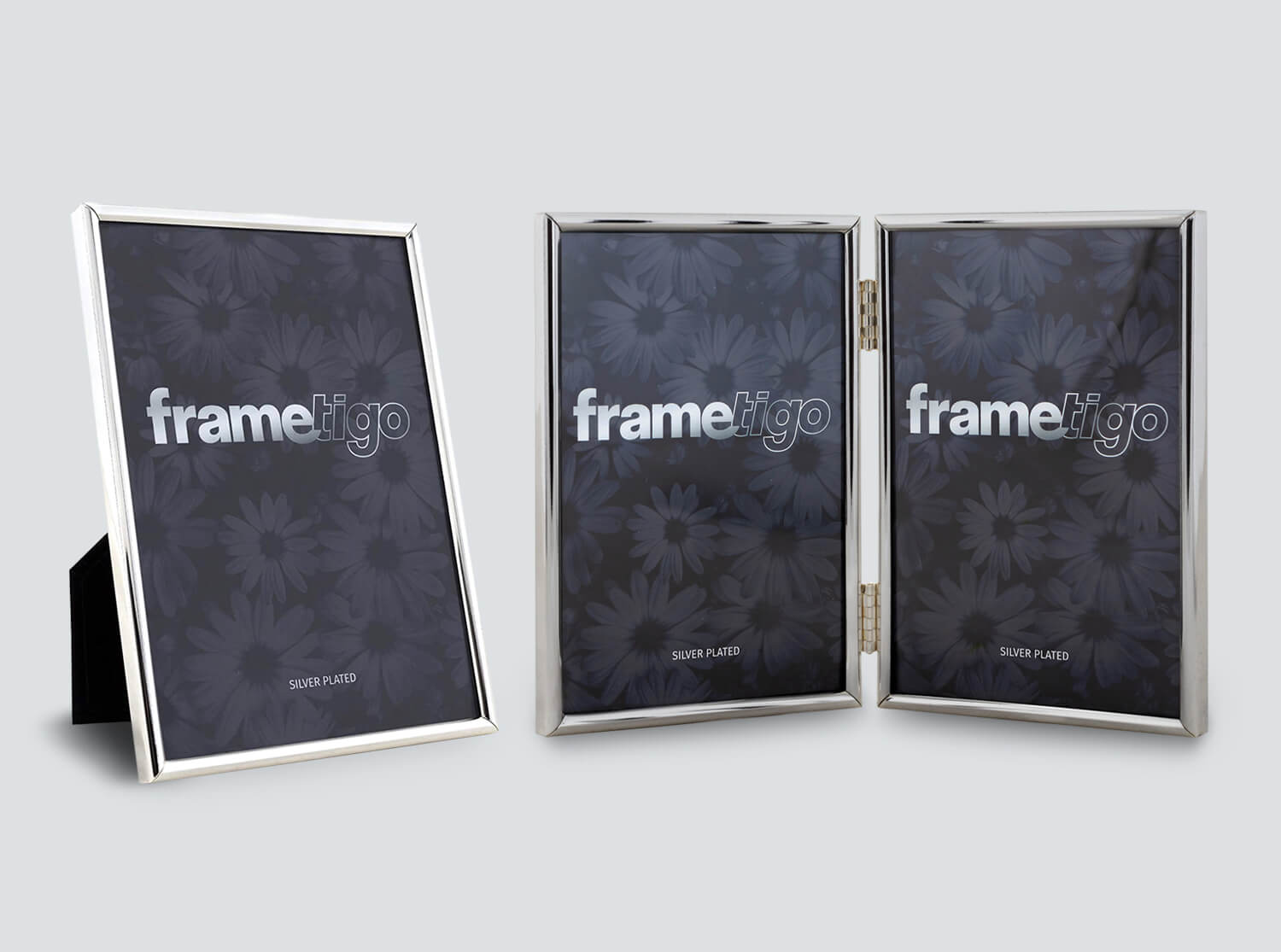 Frametigo Case Study - Web Design | Digital Marketing | Brand Design